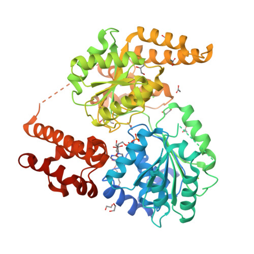RCSB PDB - 7AUC: Crystal structure of an engineered helicase domain ...