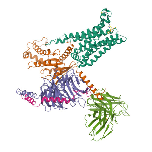 RCSB PDB - 7AUE: Melanocortin receptor 4 (MC4R) Gs protein complex