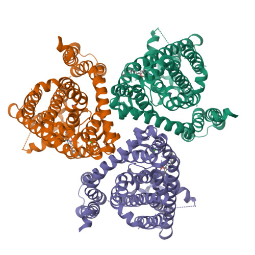 RCSB PDB - 7AWN: Structure of the thermostabilized EAAT1 cryst mutant ...