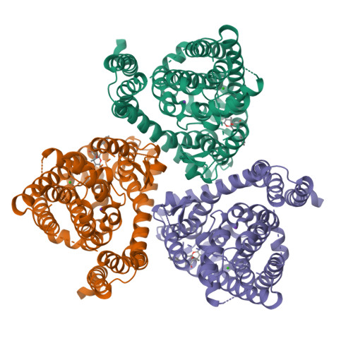RCSB PDB - 7AWP: Structure of the thermostabilized EAAT1 cryst-II ...