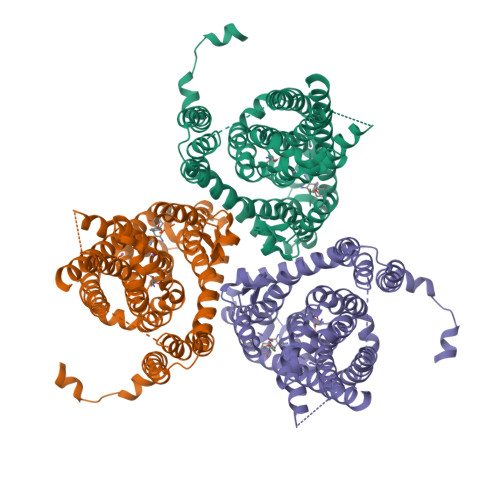 RCSB PDB - 7AWQ: Structure of the thermostabilized EAAT1 cryst-E386Q ...
