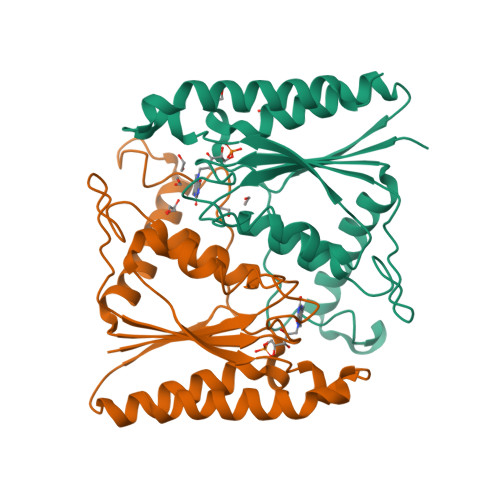 RCSB PDB - 7AWV: Azoreductase (AzoRo) from Rhodococcus opacus 1CP