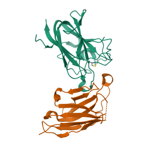 RCSB PDB - 7AZB: Structure of DDR2 DS domain in complex with VHH