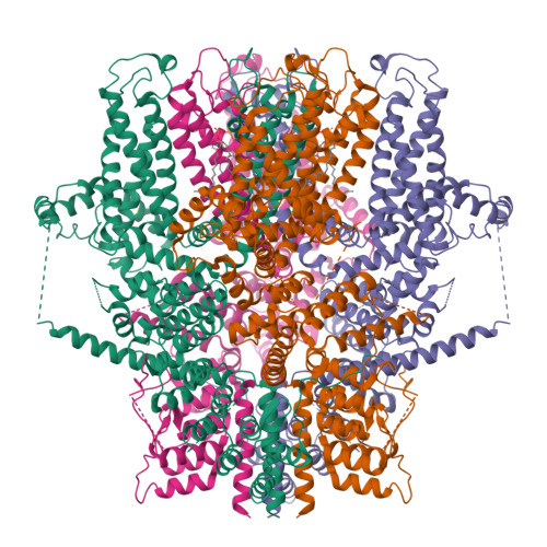 RCSB PDB - 7B0J: TRPC4 in LMNG detergent