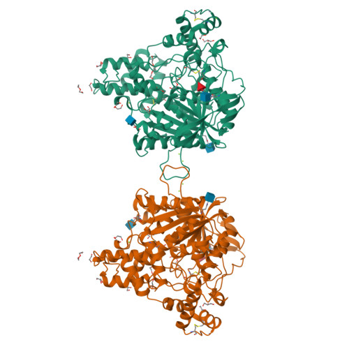 RCSB PDB - 7B38: Torpedo californica acetylcholinesterase complexed ...