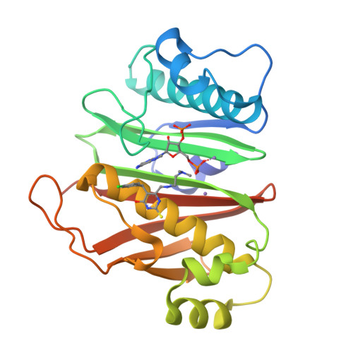 RCSB PDB - 7B4S: Structure of the 4'-phosphopantetheinyl transferase ...