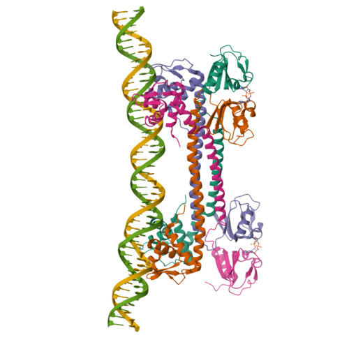 RCSB PDB - 7B5Y: S. agalactiae BusR in complex with its busAB-promotor DNA