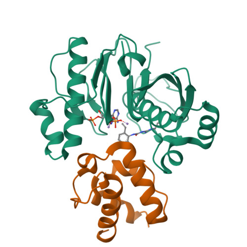 RCSB PDB - 7BDW: Crystal structure of mycobacterial PptAb in complex ...