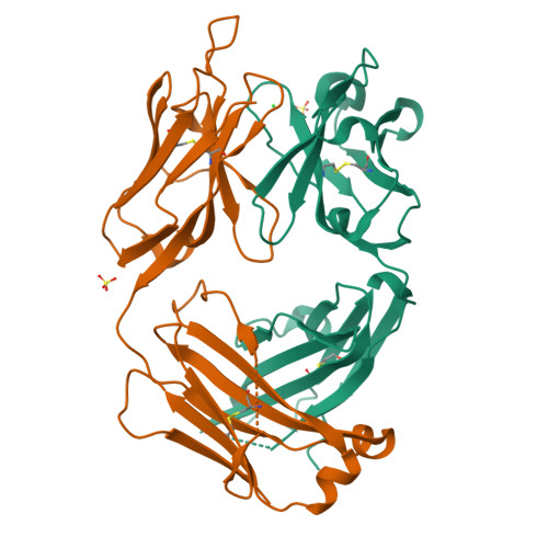 RCSB PDB - 7BG1: Structure of anti-FLAG M2 Fab domain remodeled based ...