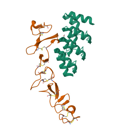 RCSB PDB - 7BHF: DARPin_D5/Her3 domain 4 complex, orthorhombic crystals