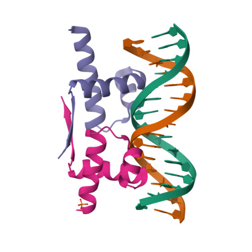 RCSB PDB - 7BHY: DNA-binding domain of DeoR in complex with the DNA ...