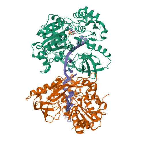 RCSB PDB - 7BIL: Crystal structure of helicase Pif1 from Thermus ...