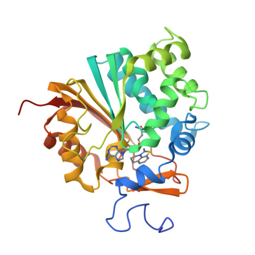 RCSB PDB - 7BKG: Co-crystal structure of Human Nicotinamide N ...