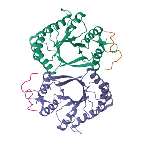 RCSB PDB - 7BOC: Crystal structure of the PRMT5 TIM barrel domain in ...