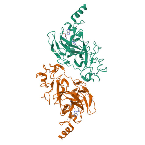 RCSB PDB - 7BUC: Crystal structure of EHMT2 SET domain in complex with ...