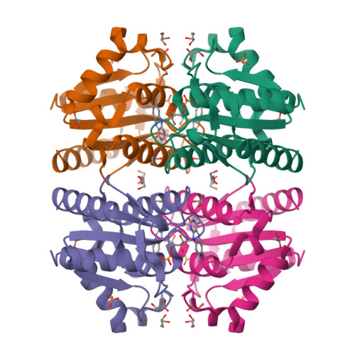 RCSB PDB - 7BX9: Purification, characterization and X-ray structure of ...