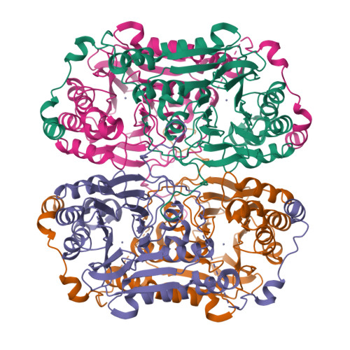 RCSB PDB - 7BZI: The mutant variant of PNGM-1. H91 was substituted for ...