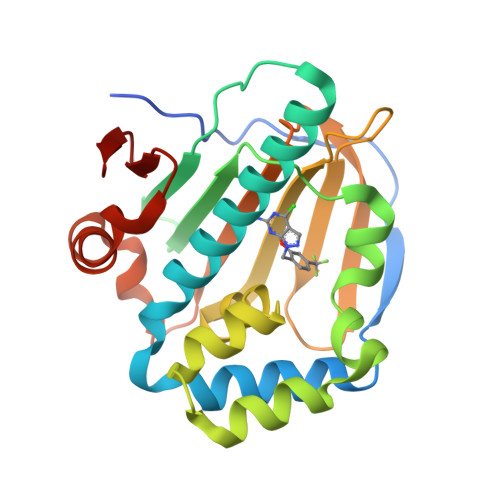 RCSB PDB - 7C04: Crystal structure of human Trap1 with DN203492
