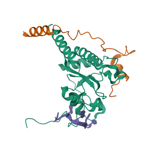 RCSB PDB - 7C06: Crystal structure of yeast U2AF1 complex bound to 3 ...