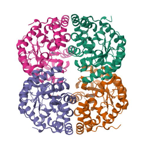 RCSB PDB - 7C0D: Crystal structure of Azospirillum brasilense L-2-keto ...