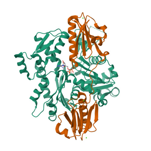 RCSB PDB - 7C2G: Crystal Structure of the Thorarchaeota 2DGel/rabbit ...