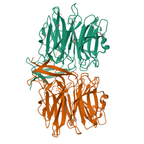 RCSB PDB - 7C3E: Crystal structure of R97A/R150A/R203A mutant of AofleA ...