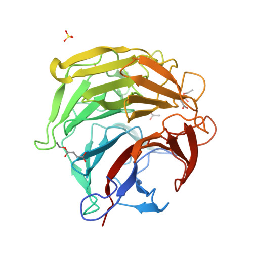 RCSB PDB - 7C60: Crystal structure of Keap1 in complex with monoethyl ...