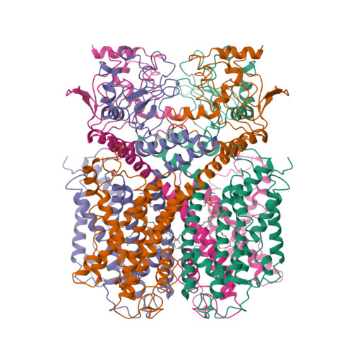 RCSB PDB - 7CAL: Cryo-EM Structure of the Hyperpolarization-Activated ...