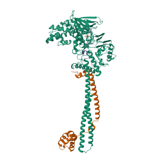 RCSB PDB - 7CDD: Crystal structure of LSD1-CoREST in complex with ...