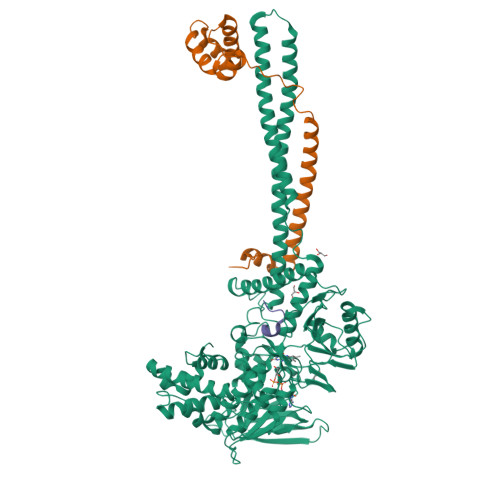 RCSB PDB - 7CDF: Crystal structure of LSD1-CoREST in complex with ...