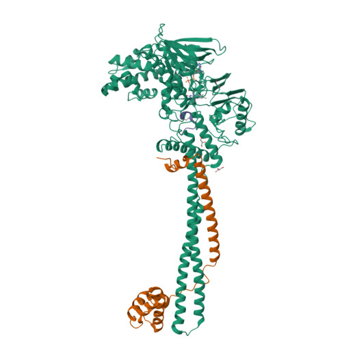 RCSB PDB - 7CDG: Crystal structure of LSD1-CoREST in complex with ...