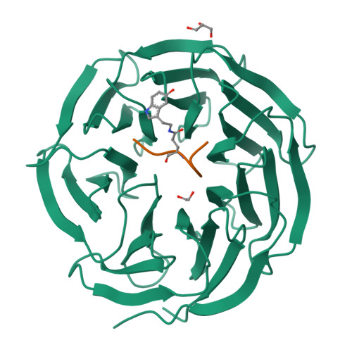 RCSB PDB - 7CFQ: Crystal structure of WDR5 in complex with H3K4me3Q5ser ...