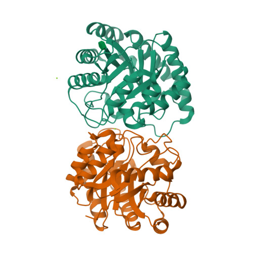 RCSB PDB - 7CJ5: Crystal structure of homo dimeric D-allulose 3 ...