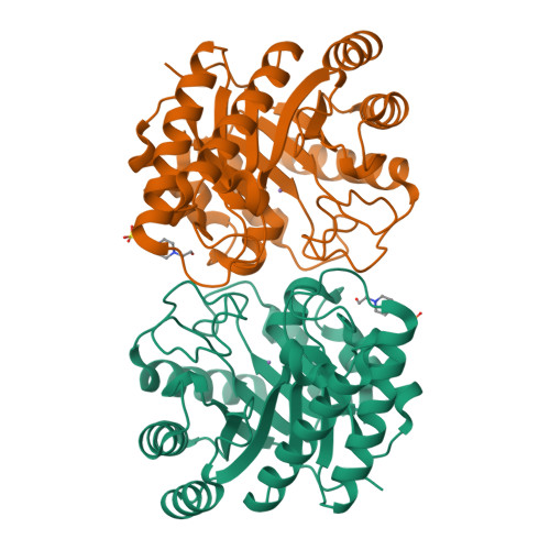 RCSB PDB - 7CJ9: Crystal structure of N-terminal His-tagged D-allulose ...