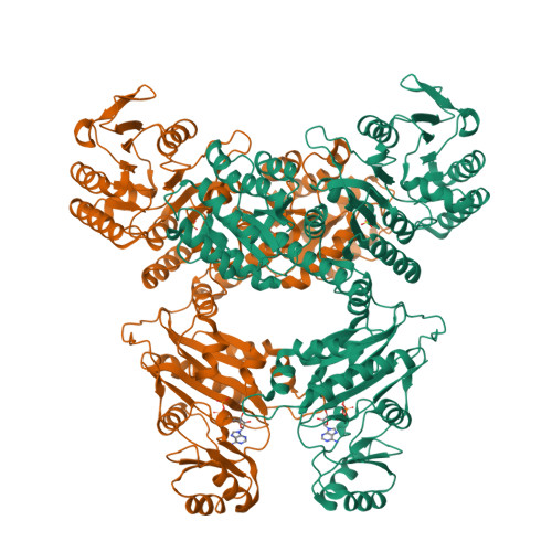 RCSB PDB - 7CM9: DMSP lyase DddX