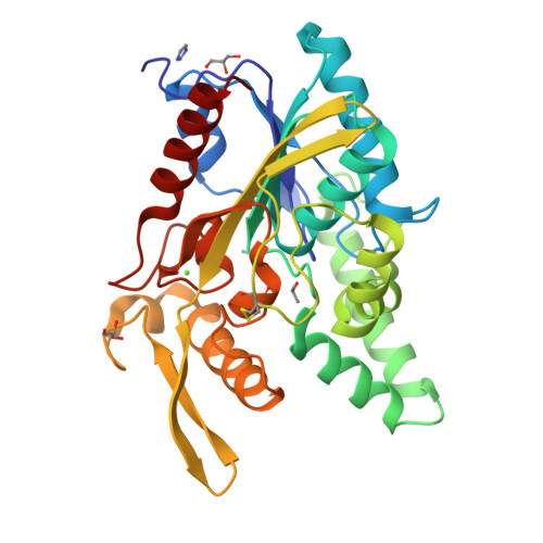 RCSB PDB - 7COF: Cholesterol esterase from Burkholderia stabilis ...
