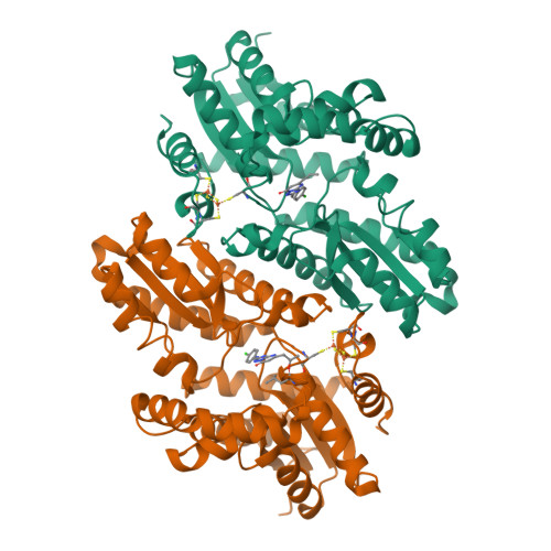 RCSB PDB - 7CT7: FECH - inhibitor complex 2