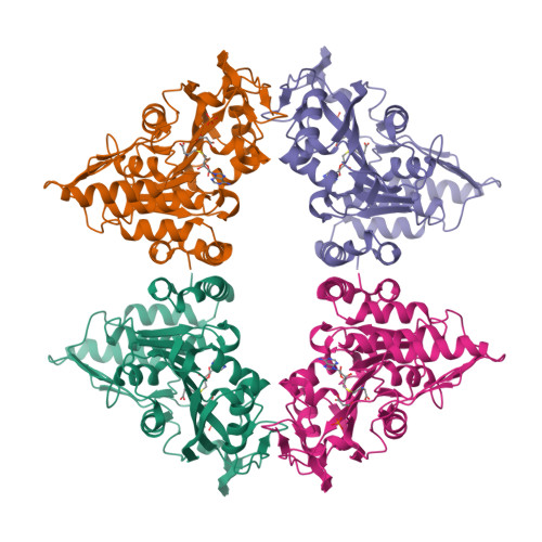RCSB PDB - 7CT9: Crystal structure of SAH bound CmoB from Vibrio Vulnificus
