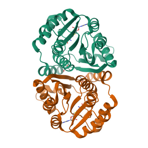 RCSB PDB - 7CVW: Crystal structure of Catechol o-methyl transferase ...