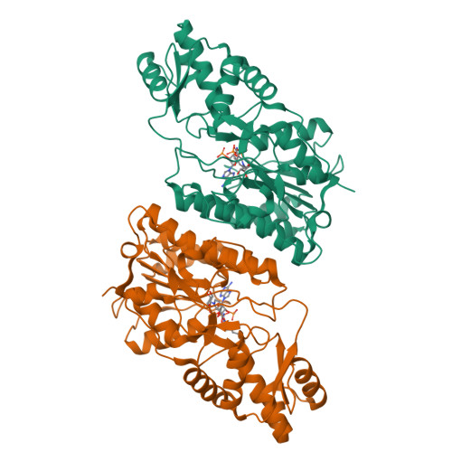 RCSB PDB - 7CXT: Crystal structure of a GDP-6-OMe-4-keto-L-xylo-heptose ...