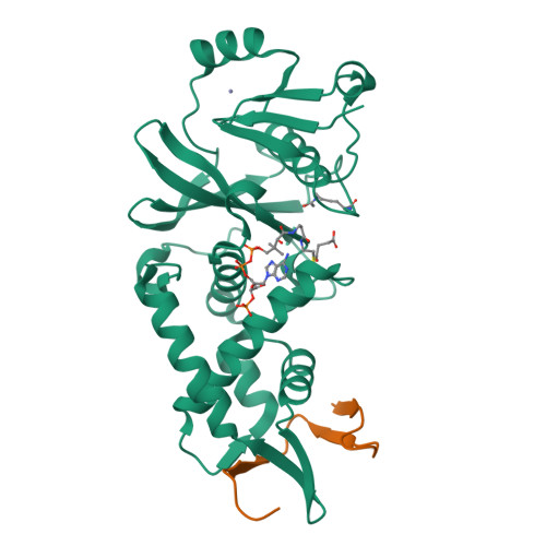 RCSB PDB - 7D0S: Crystal structure of human HBO1-BRPF2 in complex with ...