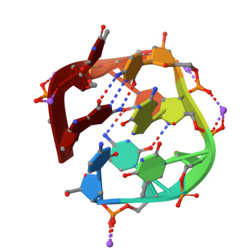 RCSB PDB - 7D0Z: NMR solution structures of the DNA minidumbbell formed ...