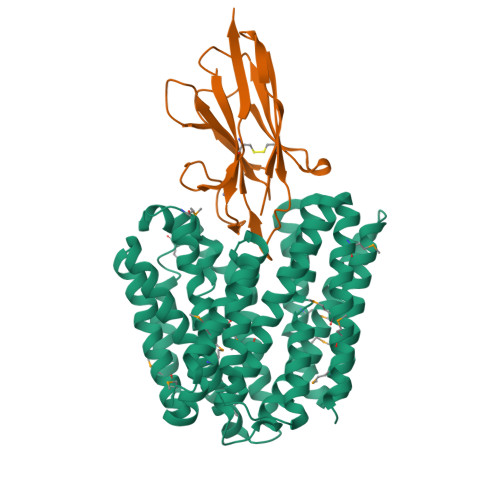 RCSB PDB - 7D5P: Structure of NorC transporter in an outward-open ...