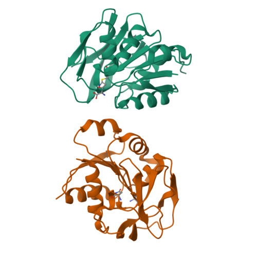 RCSB PDB - 7D95: Crystal structure of acivicin-bound GATase subunit of ...