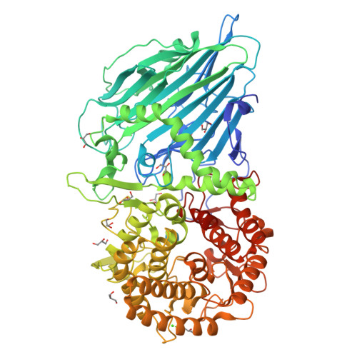 RCSB PDB - 7DKV: Crystal structure of TxGH116 E441A nucleophile mutant ...