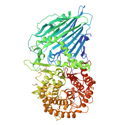 RCSB PDB - 7DKY: Crystal structure of TxGH116 E441G nucleophile mutant ...