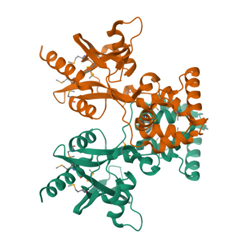 RCSB PDB - 7DNT: mRNA-decapping enzyme g5Rp
