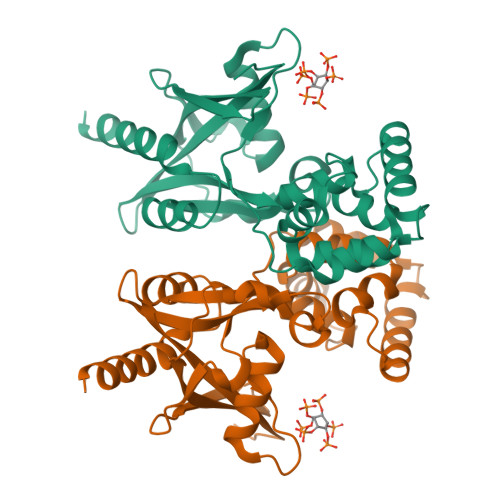 RCSB PDB - 7DNU: mRNA-decapping enzyme g5Rp with inhibitor insp6 complex
