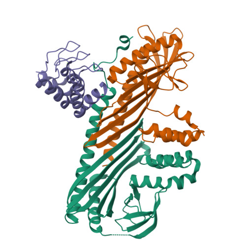 RCSB PDB - 7DSA: Crystal structure of actin capping protein in complex ...
