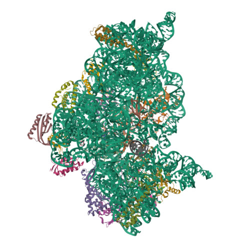 RCSB PDB - 7DUJ: Crystal structure of the Thermus thermophilus (HB8 ...